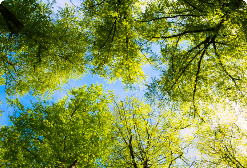 Plataforma RE: Tu aliado para ser más sustentable | Nestlé